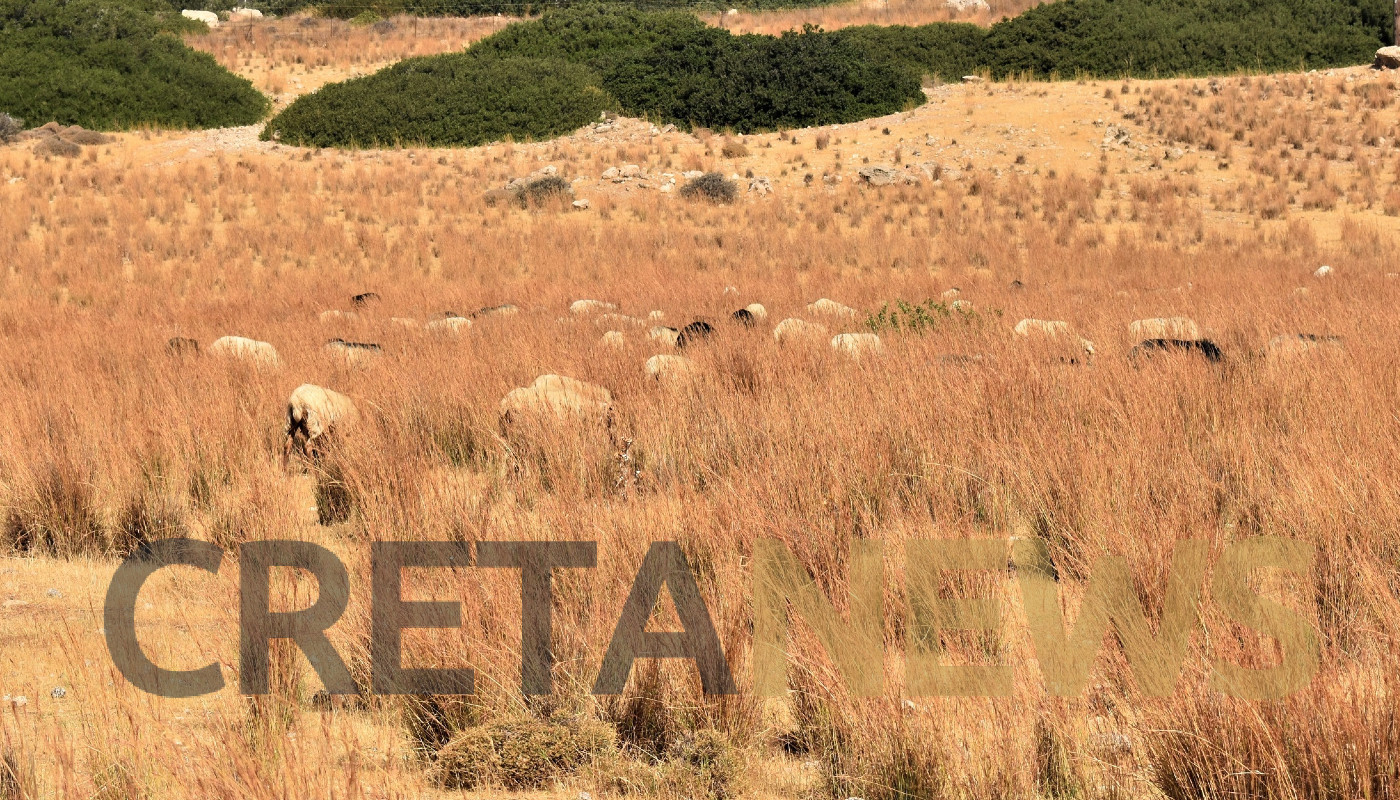Ιεράπετρα: Σαν πίνακας ζωγραφικής του Claude Monet | CretaNews.eu