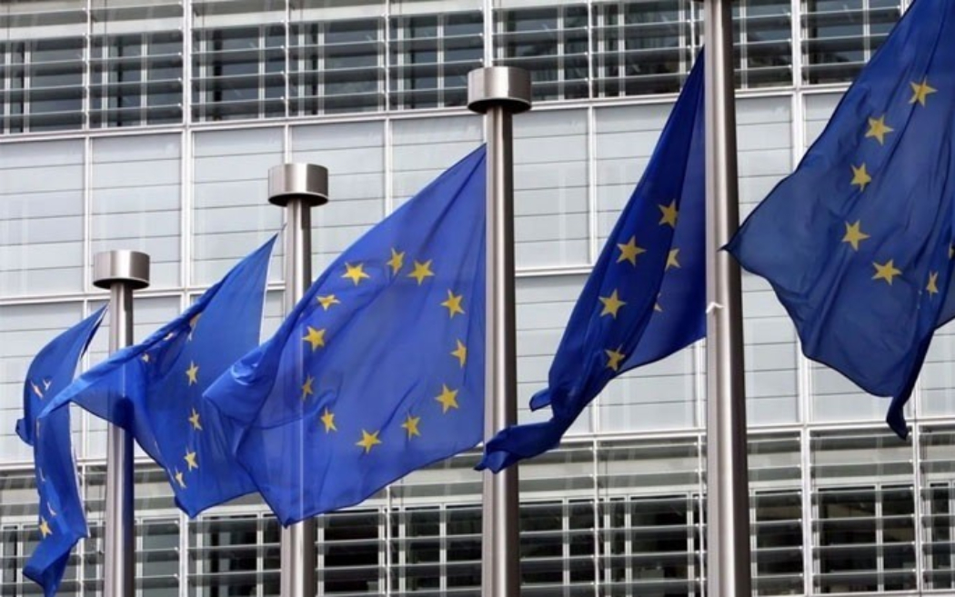 Περιβαλλοντικές οργανώσεις καλούν την Ε.Ε. να παρέμβει για τις ...